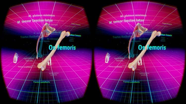 'VR Human Anatomy' to Give Medical Students a 'Hands-On' Using Oculus Touch