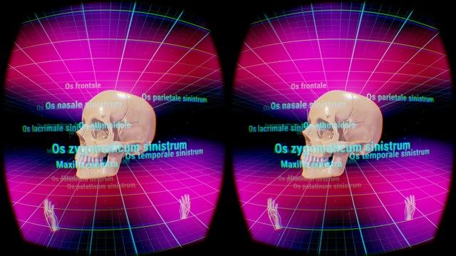 'VR Human Anatomy' to Give Medical Students a 'Hands-On' Using Oculus Touch